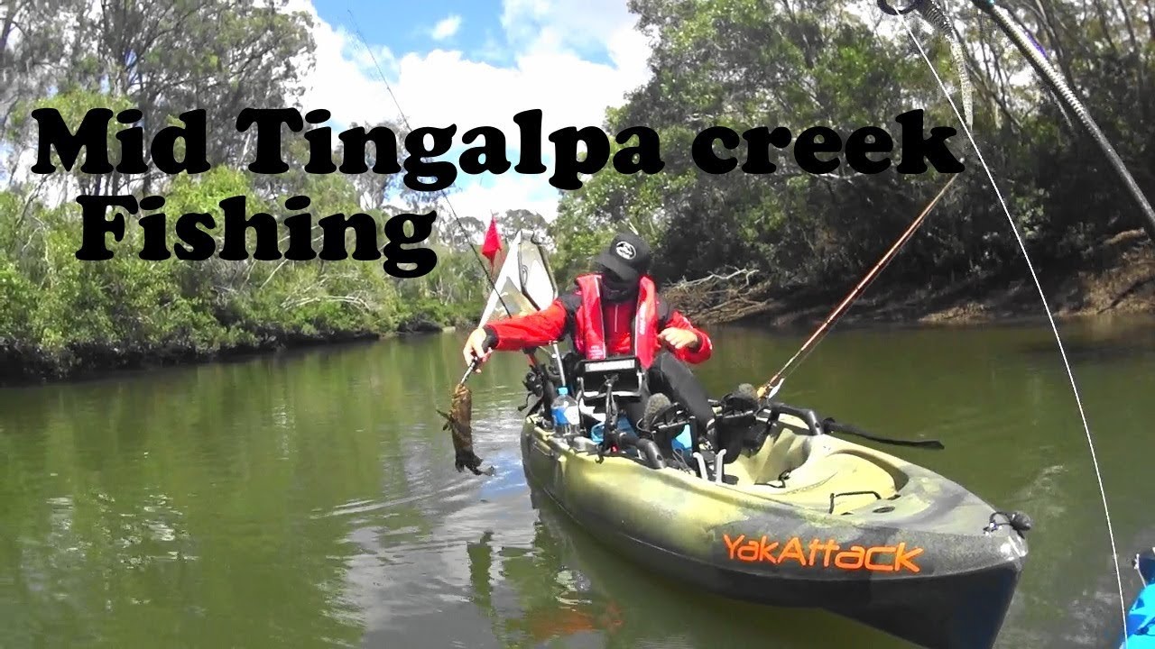 A bit of Mid Tingalpa Creek action - YouTube