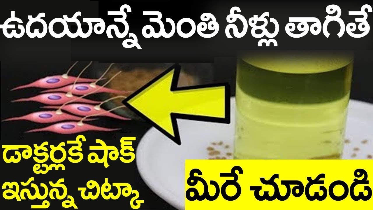 Health Benefits of Having Menthi Water I Fenugreek Benefits I Telugu ...