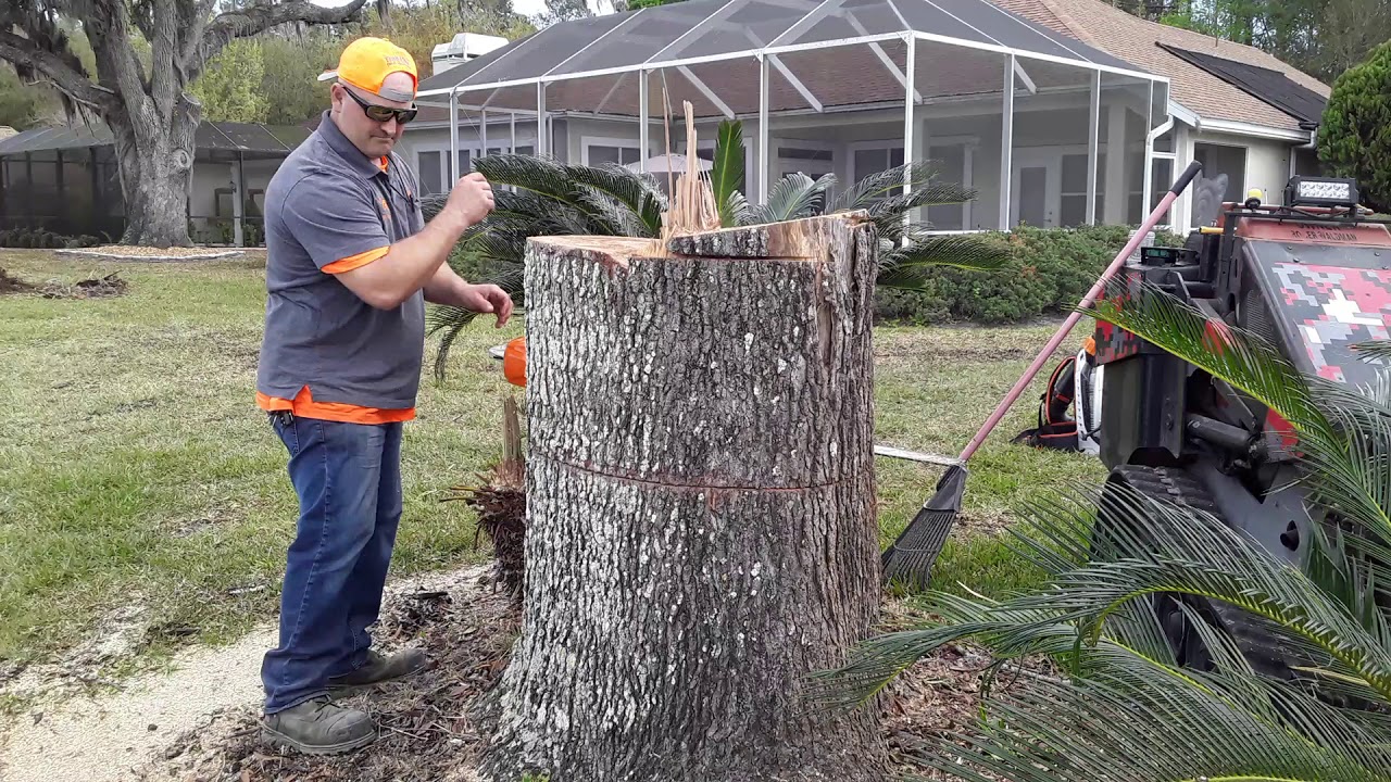 March 12 2020 HOW TO FLUSH CUT A TABLE TOP STUMP FOR CUSTOMER TO SET A March 12 2020 HOW TO FLUSH CUT A TABLE TOP STUMP FOR CUSTOMER TO SET A