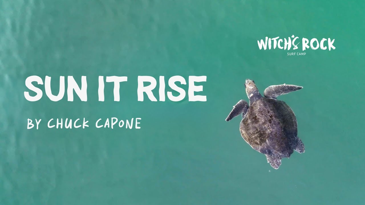 Tamarindo Live Surf Cam | Real-Time Surf Report & Conditions