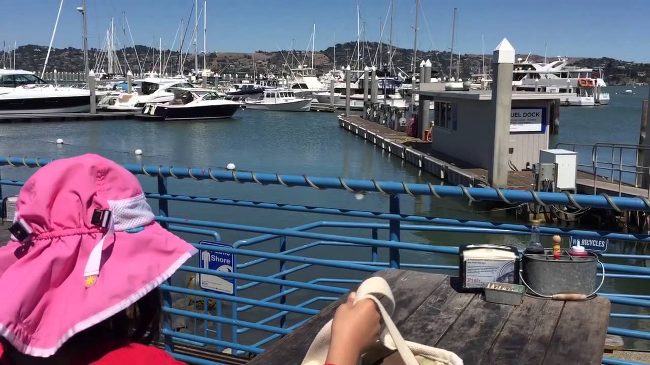 Water View by Fish Restaurant in Sausalito - YouTube