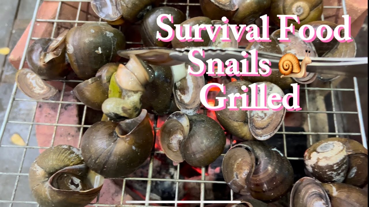 Dear to Eat? Grill Snails a Survival Food from Country Side - YouTube
