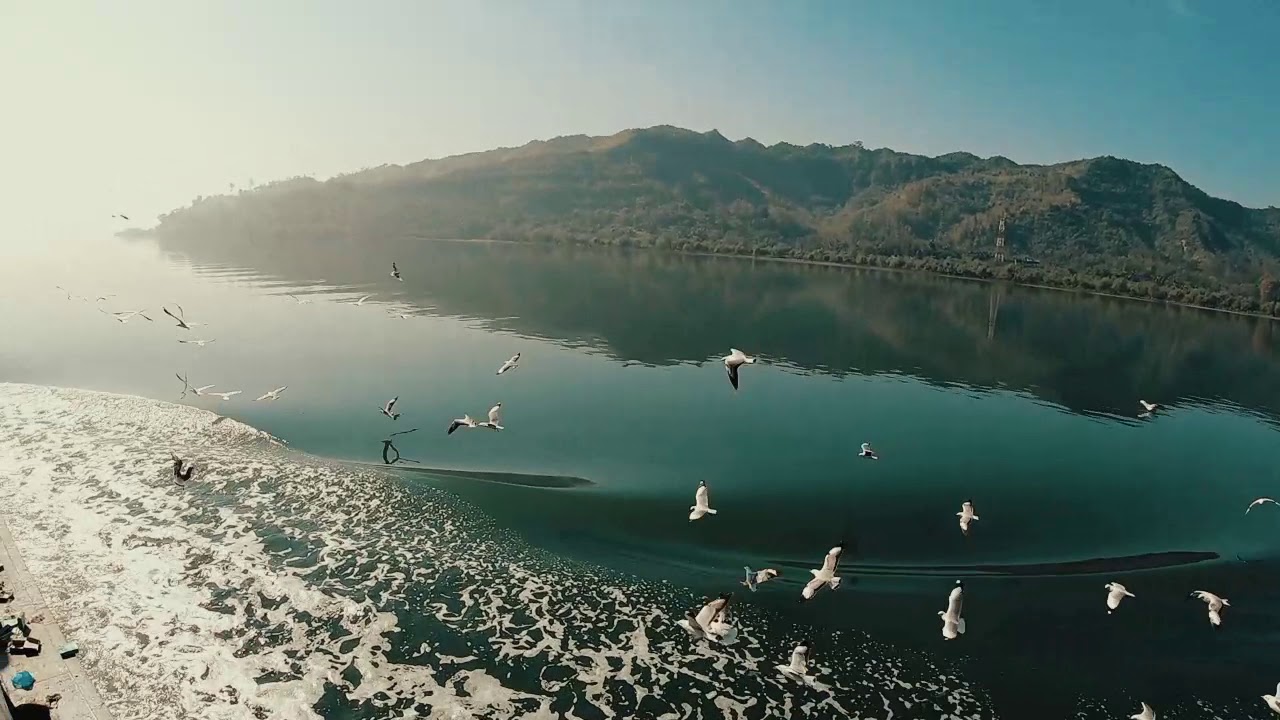 Birds on Teknaf River - YouTube