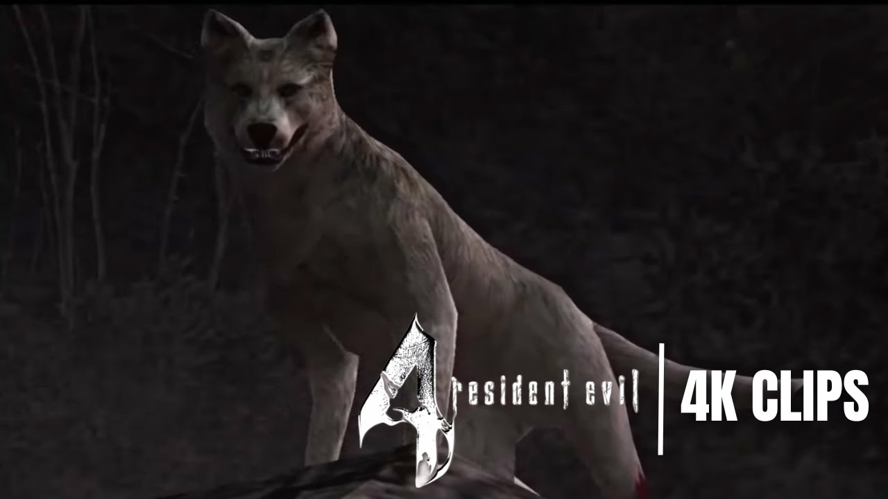 All White Doggo Scenes | Resident Evil 4 | 4K Clips - YouTube