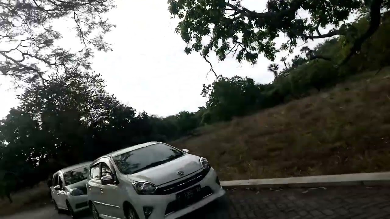 Taman nasional Baluran Afrika van Java - YouTube