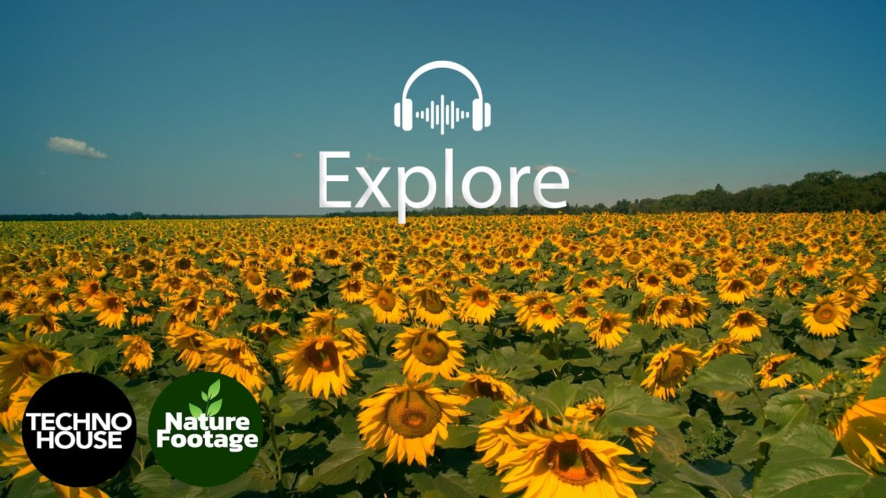 Explore | Techno House -original mix - YouTube