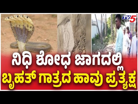 Huge Snake Spotted at Treasure Hunt Site Lakkundi ನಿಧಿ ಶೋಧ ಜಾಗದಲ್ಲಿ  ಬೃಹತ್ ಗಾತ್ರದ ಹಾವು ಪ್ರತ್ಯಕ್ಷ