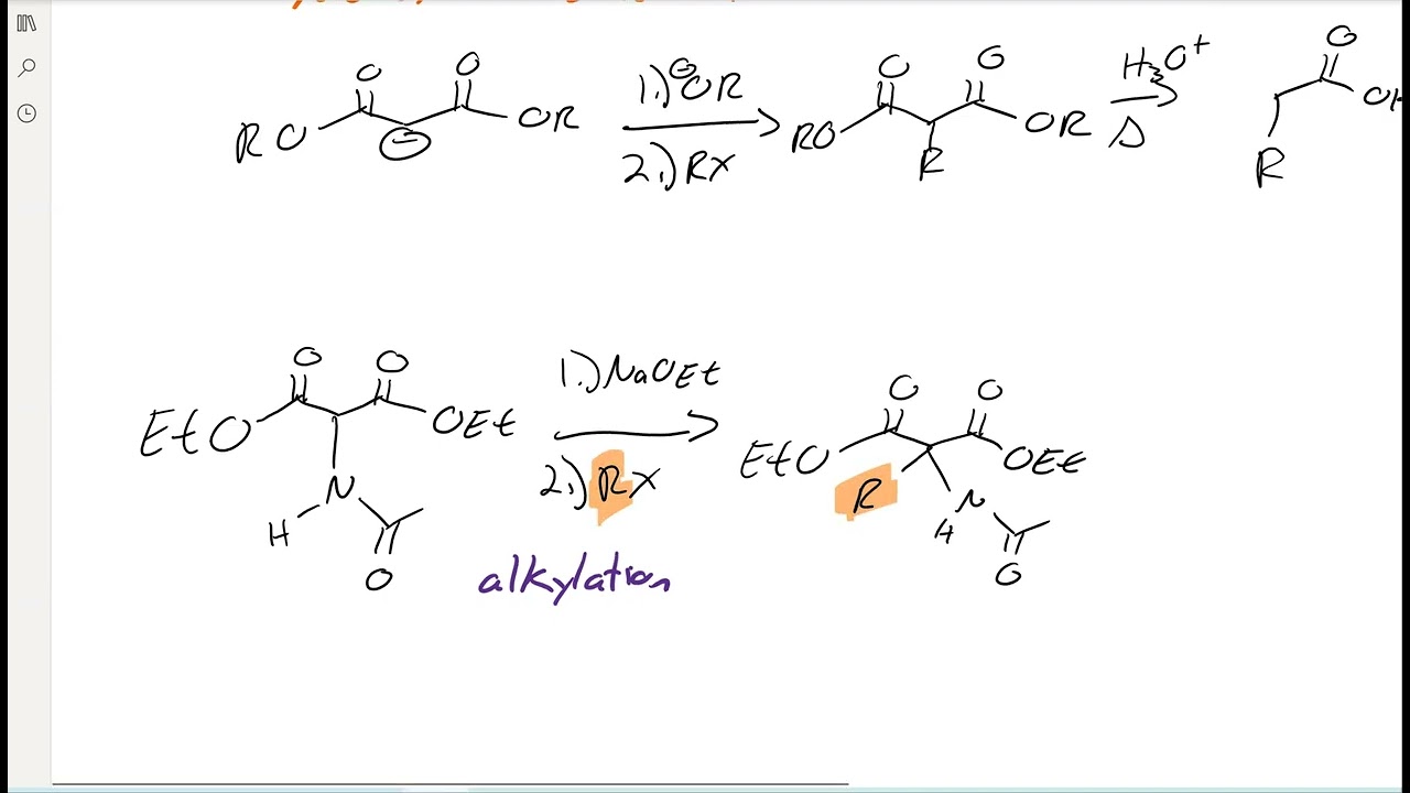 CHEM113 22 7 Amidomalonate - YouTube