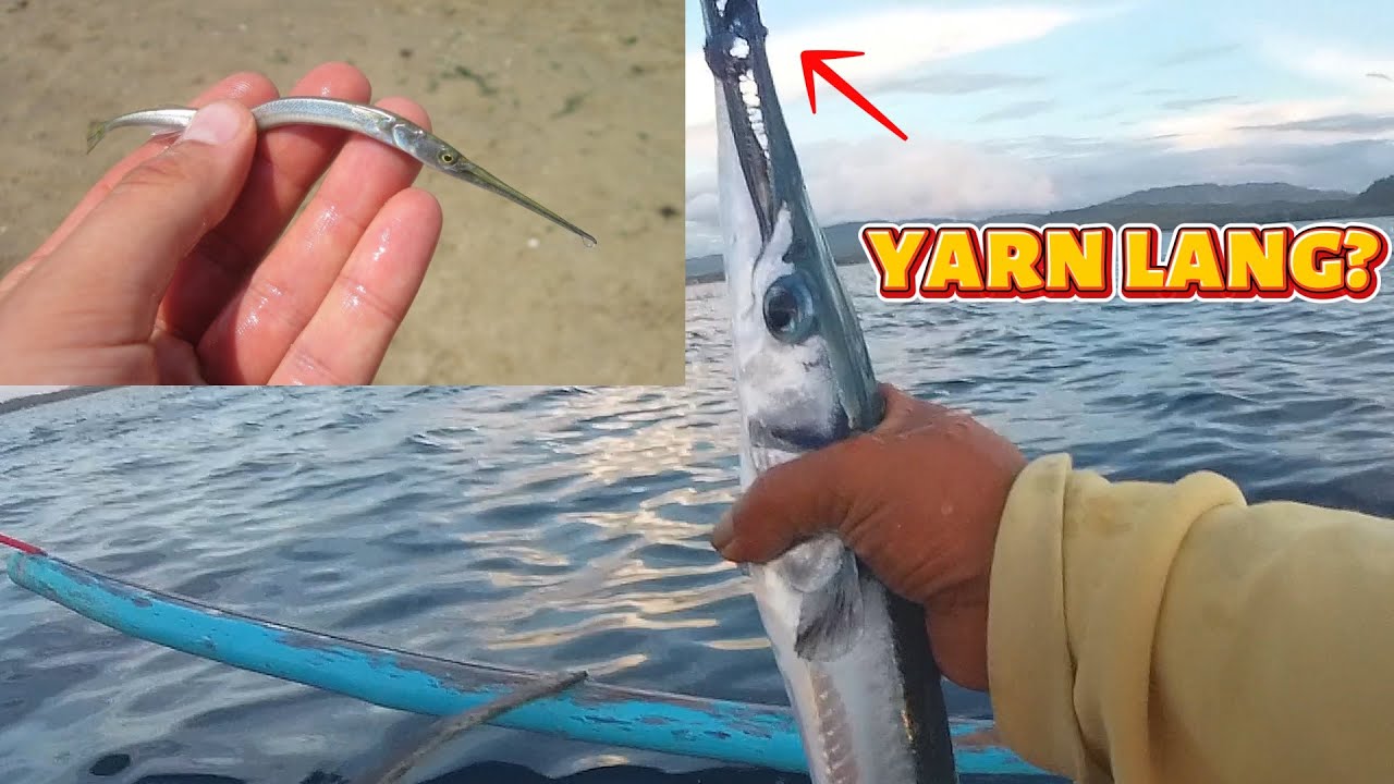 BAGONG TEKNIK SA PAGHULI NG BALO/NEEDLE FISH - YouTube