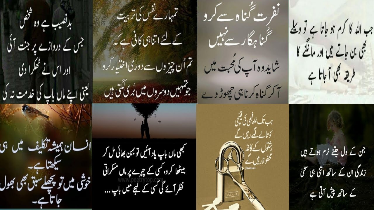 Amazing quotes collection | best Islamic status | what's up Islamic ...