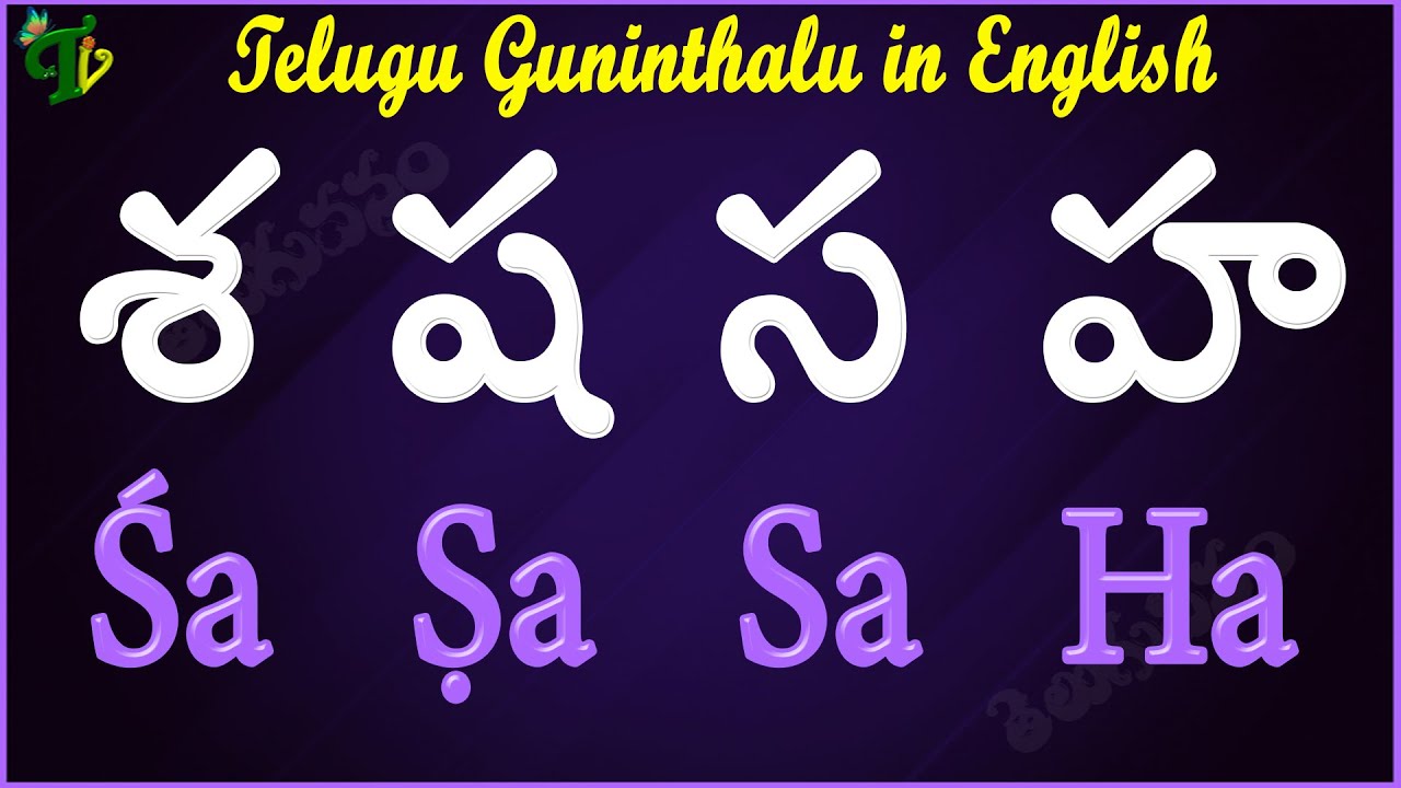 Se Sha Sa Ha Guninthalu English | How to write శ ష స హ Guninthalu ...