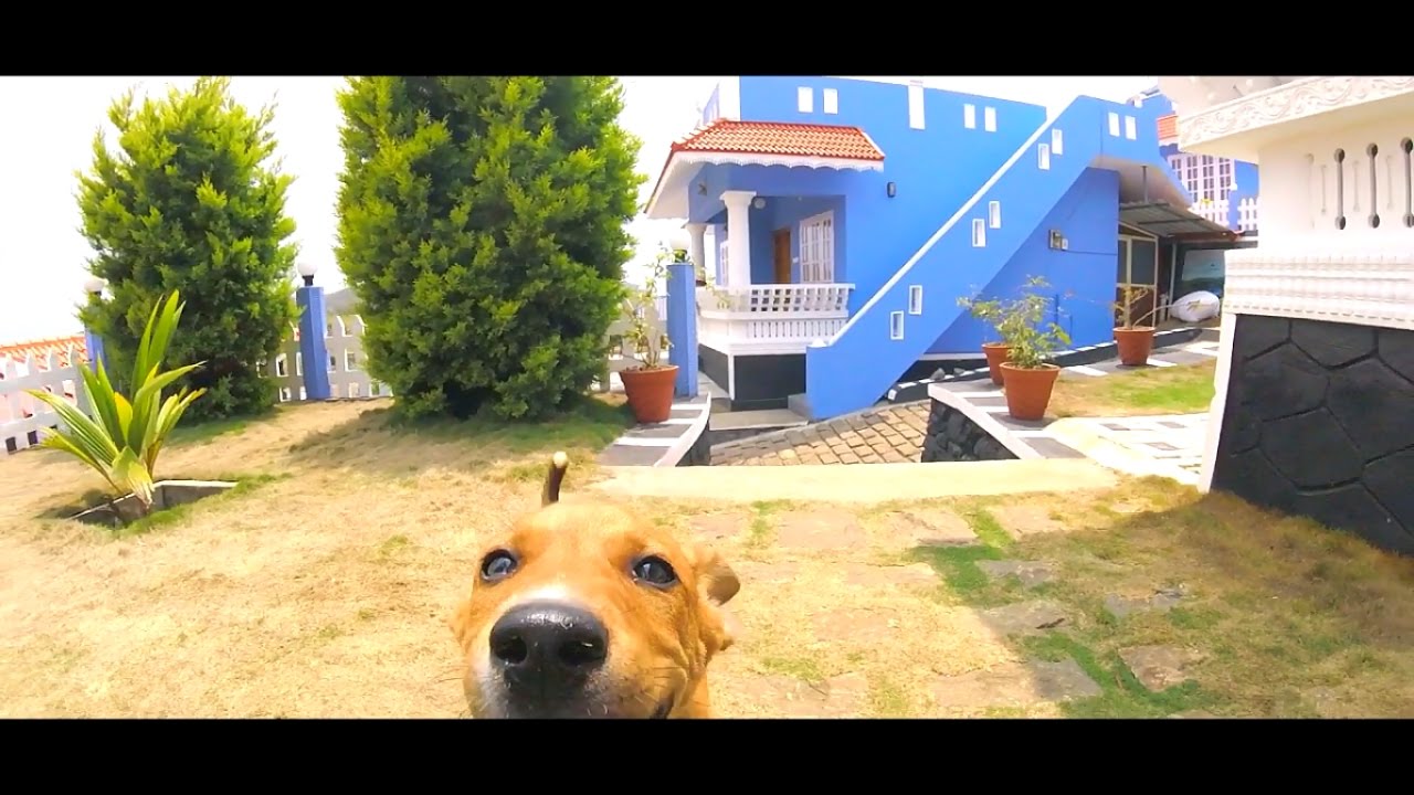 Wind Valley Hill resort - Kuttikkanam (Kerala) - GoPro HeroSession ...