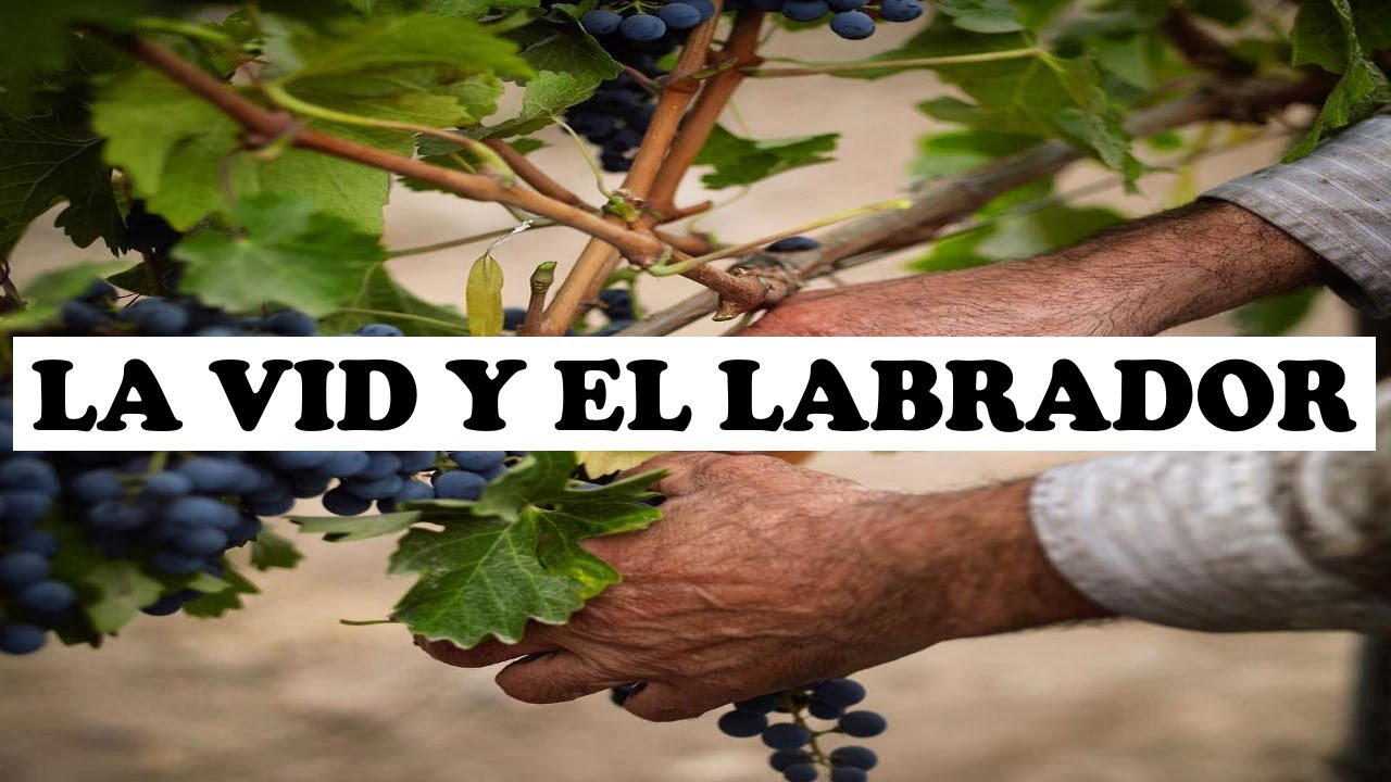 La Vid y el Labrador. Edwin Gonzalez - YouTube