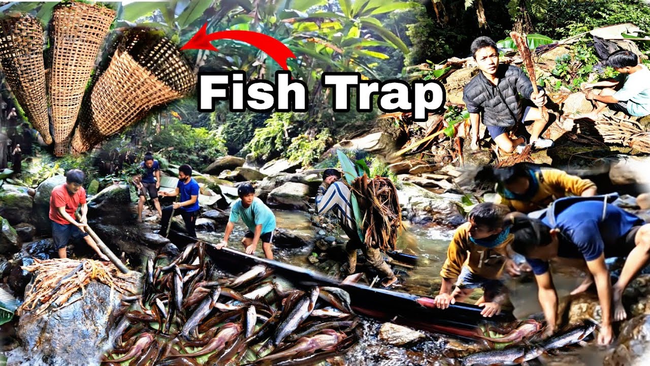 Traditional fishing in the river part 2 | Unique way of catching fish ...