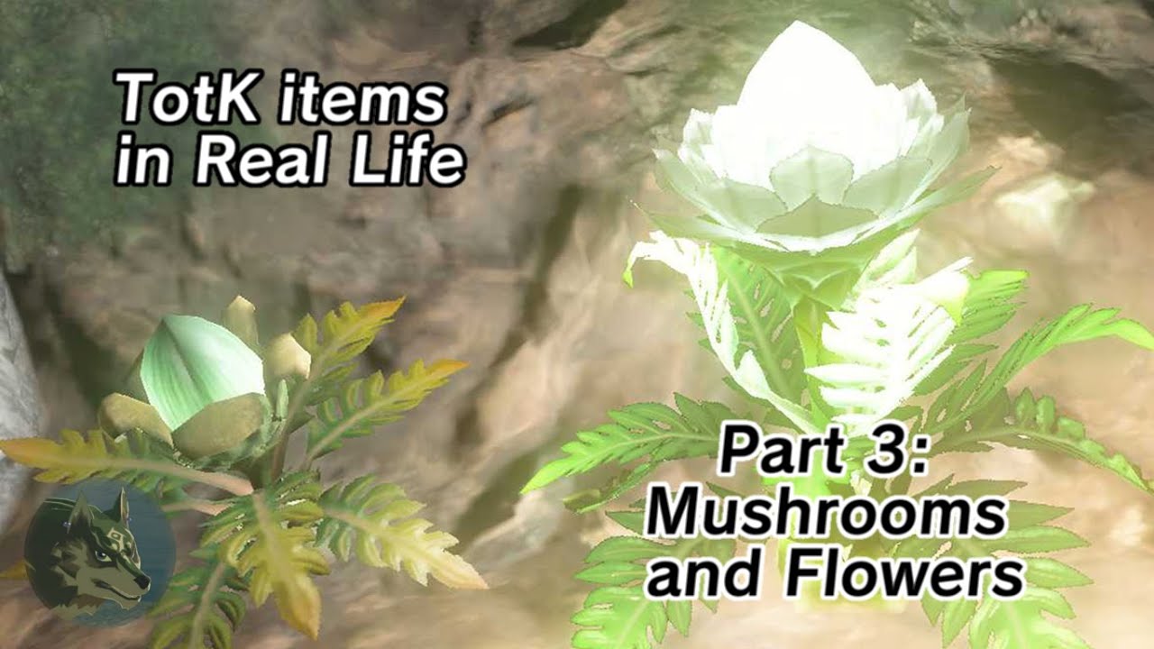 TotK items in Real Life - Part 3: Mushrooms and Flowers - YouTube