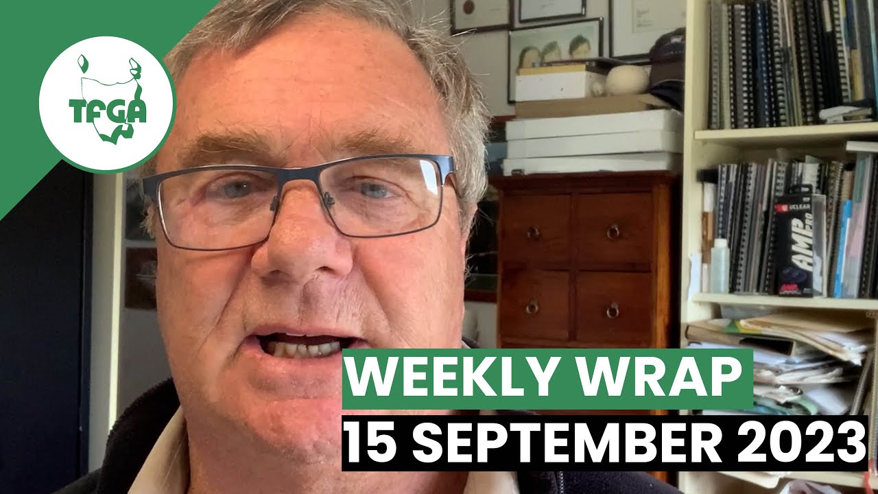 TFGA Weekly Wrap - 15 September 2023 - YouTube