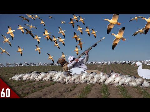My BEST Snow Goose Hunt YET! | Spring Goose Hunting 2022 - YouTube