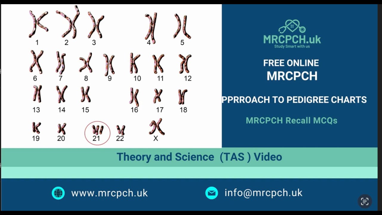 "Easy Approach to Pedigree Chart Solving | Genetics Made Simple!" - YouTube