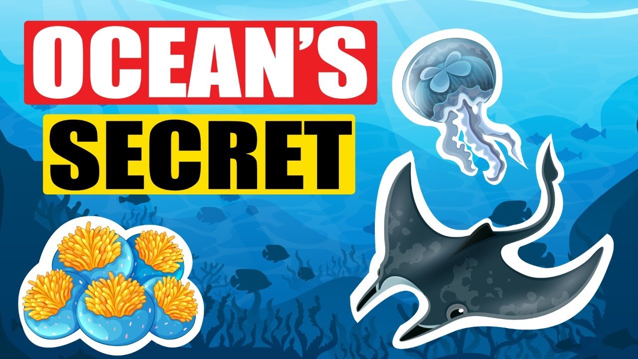 Mysteries of the Deep Sea - Mariana Trench and the Hadal Zone Explained ...