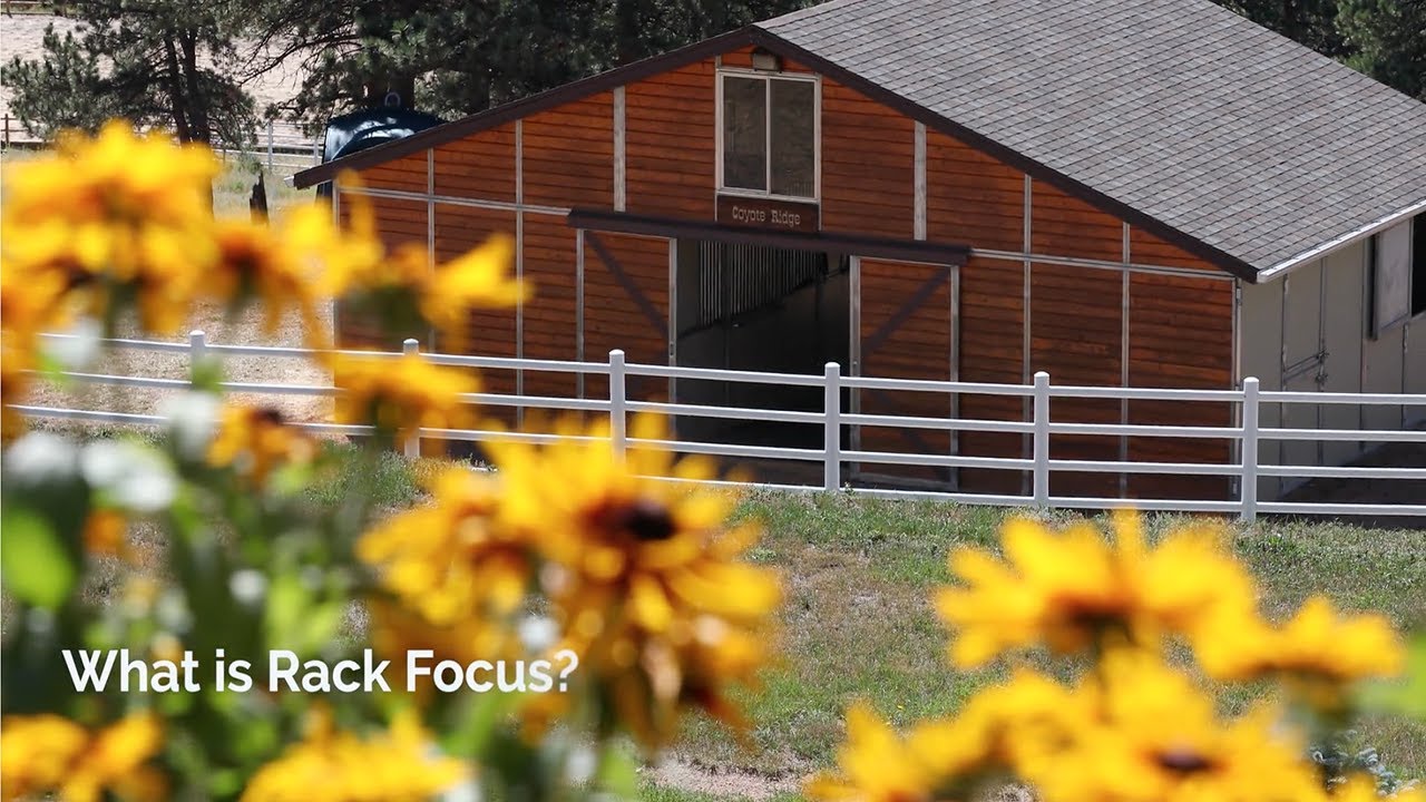 Rack Focus - Quick Example and Definition - YouTube