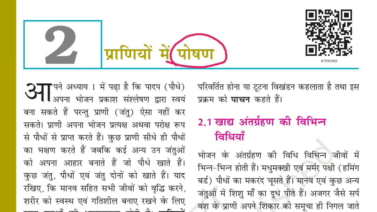 Class 7th Science Chapter 2: प्राणियों में पोषण (Hindi Medium) - YouTube