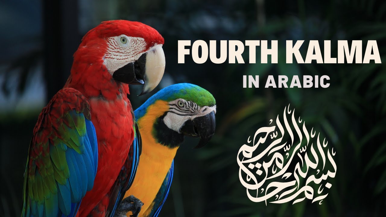 4th Kalima Tawheed Islamic Kalimas in Arabic | Learn Six Kalimas - YouTube