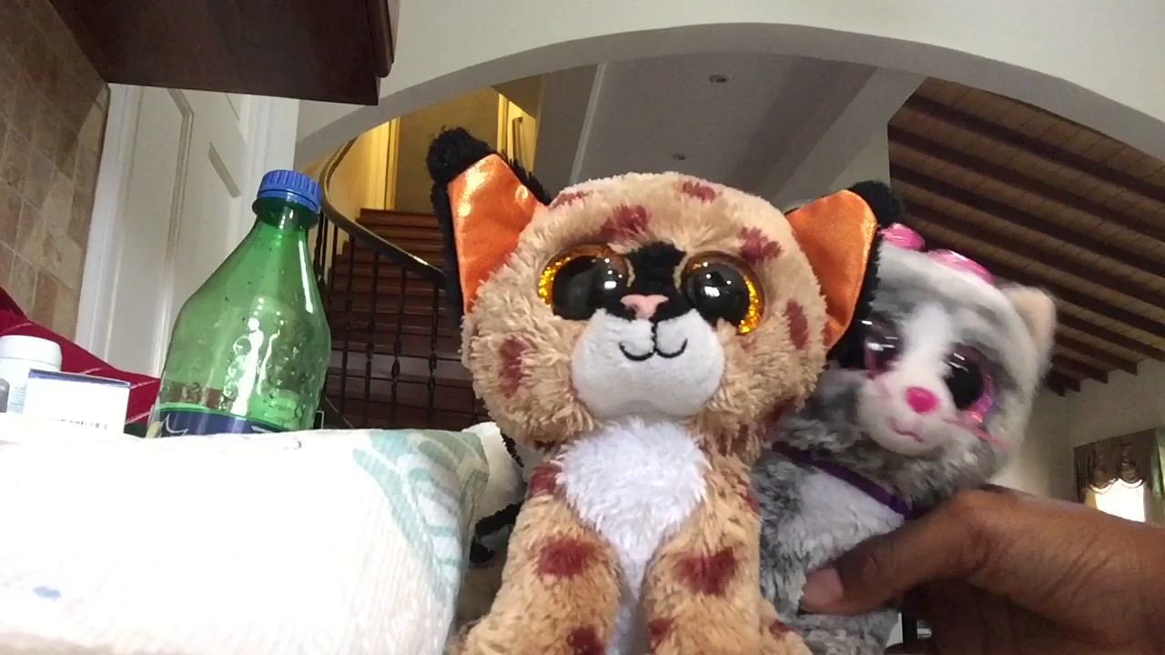 Stuffed Animal vlog 1 - YouTube