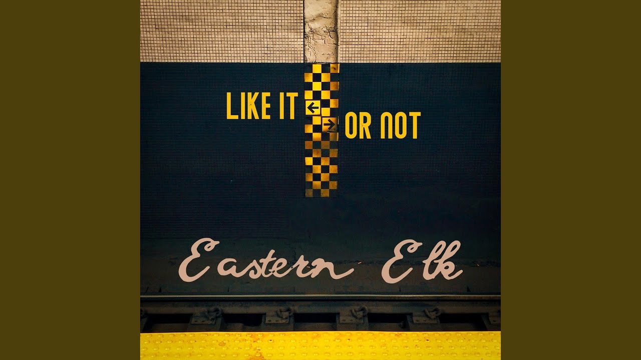 Like It or Not - YouTube