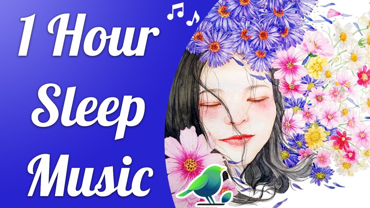Sleep Music 1 Hour - Relaxing Music for Deep Sleep, Meditation, and ...