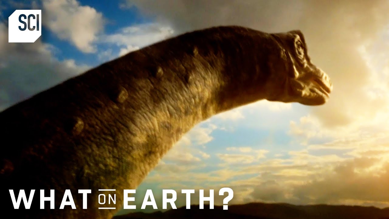 Aerial Cameras Capture Large Footprints In South Texas | What on Earth ...