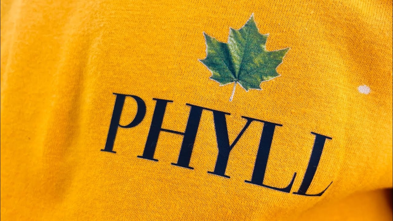 LAUNCH OF PHYLL - CLOTHING BRAND - YouTube