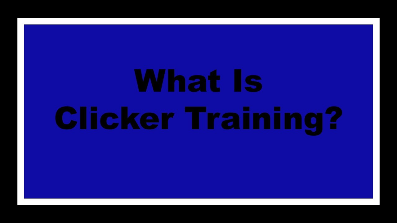 What Is Clicker Training - YouTube