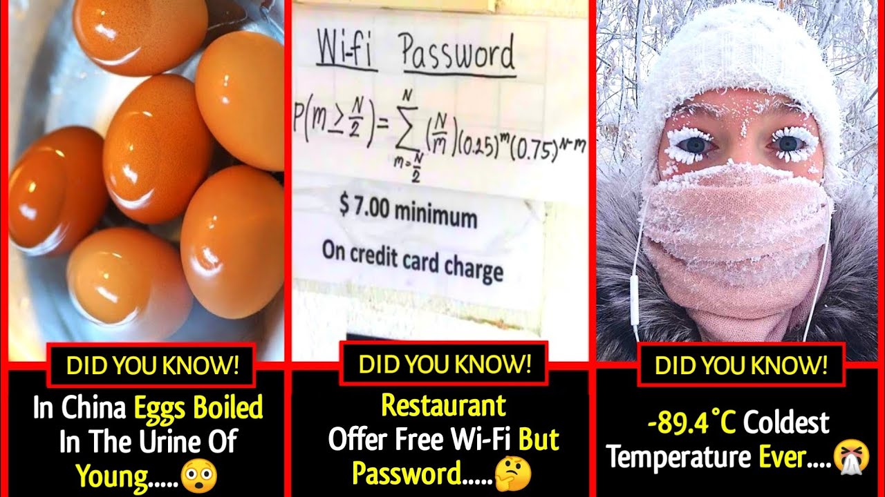 Informative Video Make You The Most Interesting Person In The World 🤔😲 ...