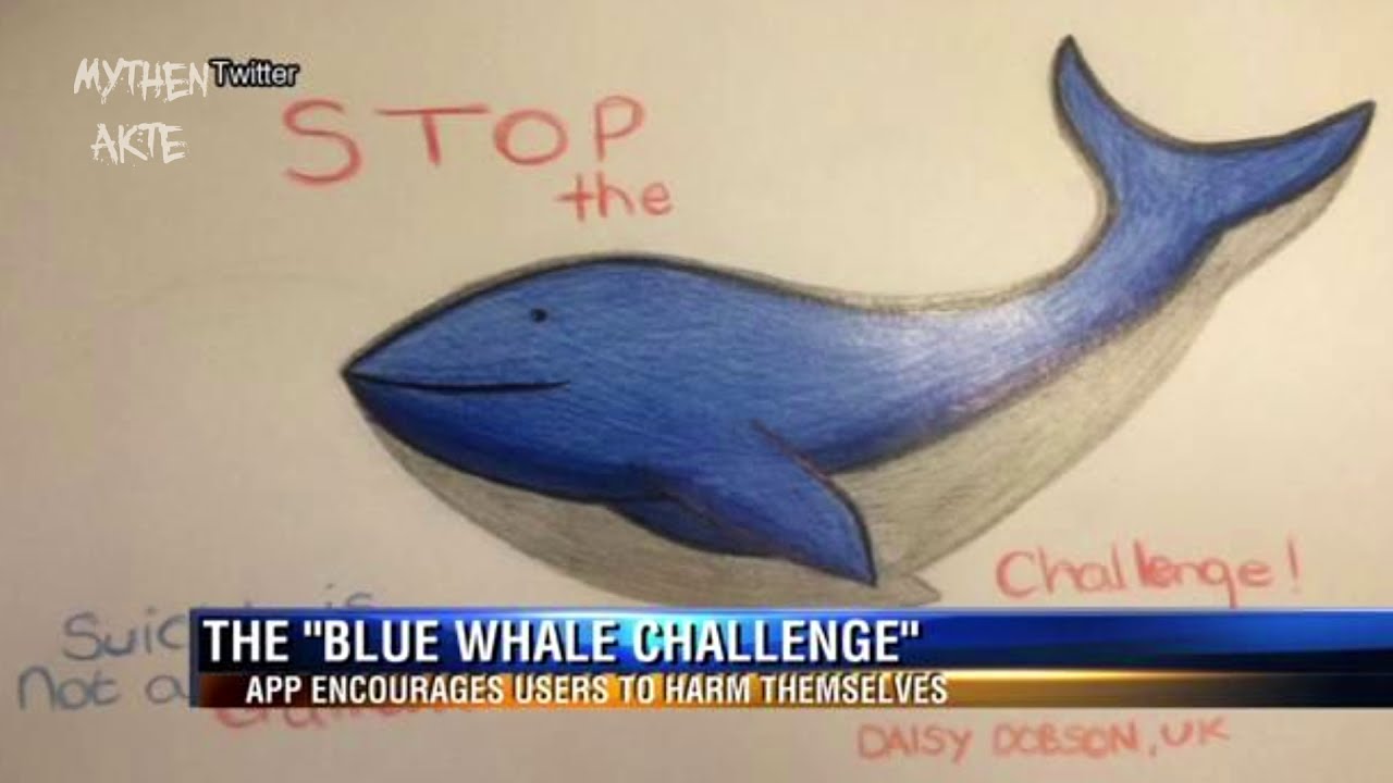 Blue Whale Challenge auf Whatsapp - Echte Gefahr oder Fake ...