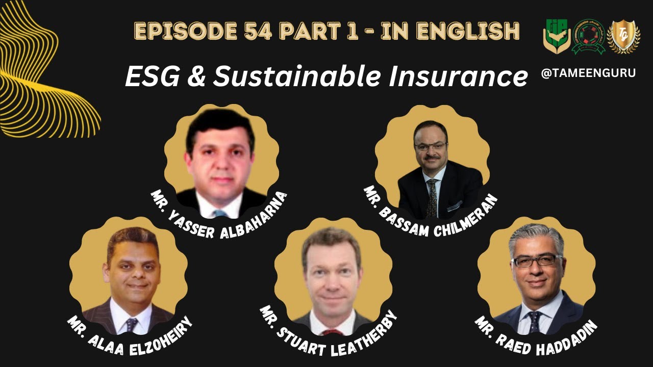 54- The Secret of Sustainable Insurance: ESG for a Better Future - YouTube