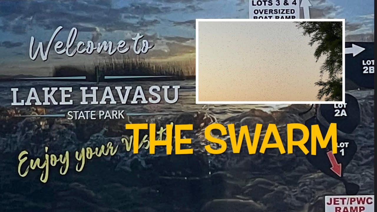 RV Camping Review of Lake Havasu State Park, Lake Havasu City, Arizona ...