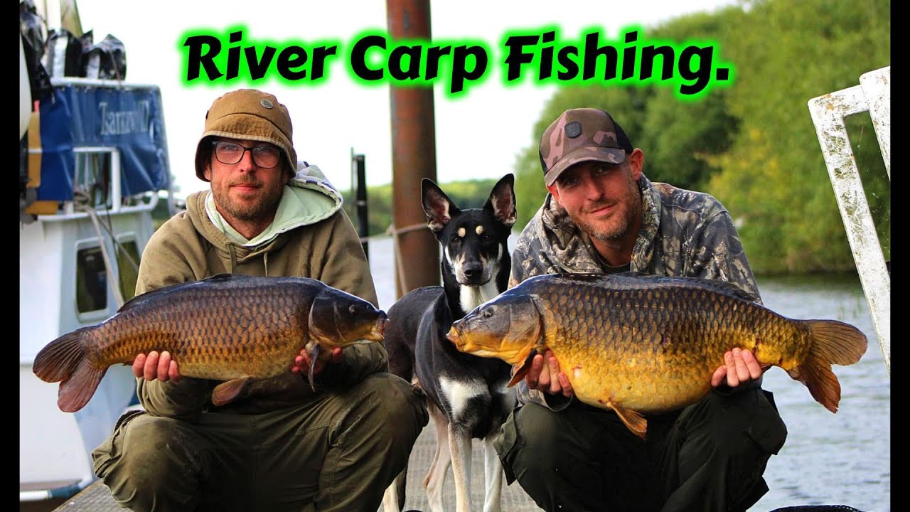 River Carp Fishing. New Boat RECORD! & 40LB Brace. River Trent. EP 21 ...