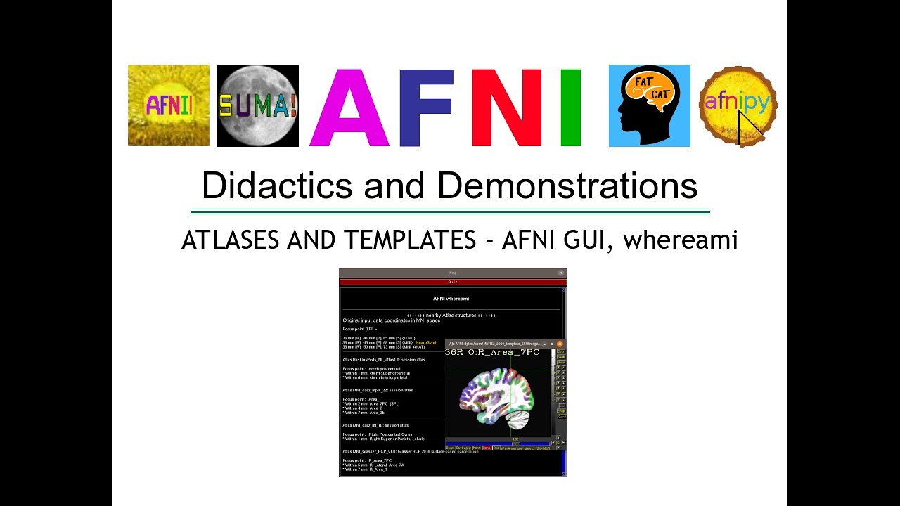 [AFNI Academy] Atlases and Templates - AFNI GUI and whereami? - YouTube