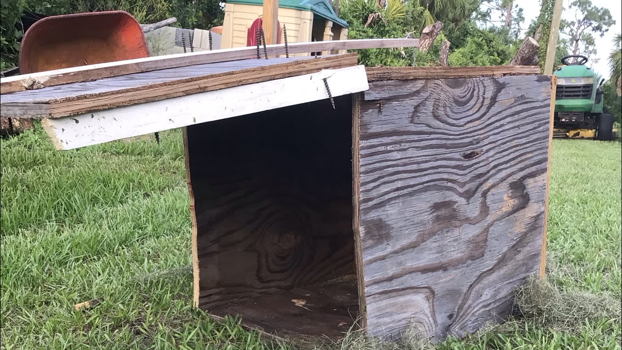 How to make an animal trap - YouTube