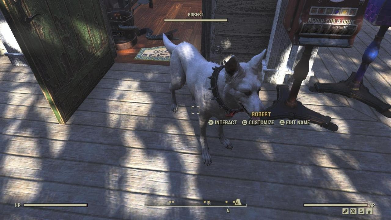 Fallout 76: Meet The White Dog - YouTube