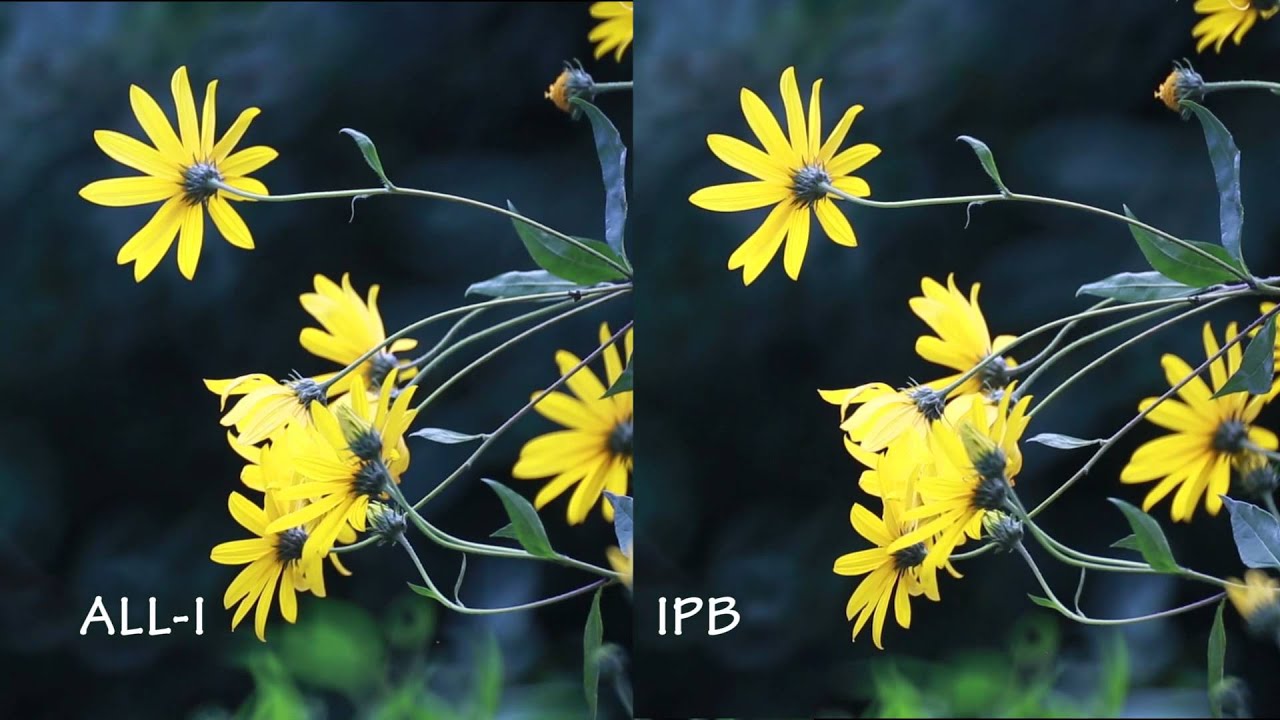 ALL-I vs IPB - YouTube