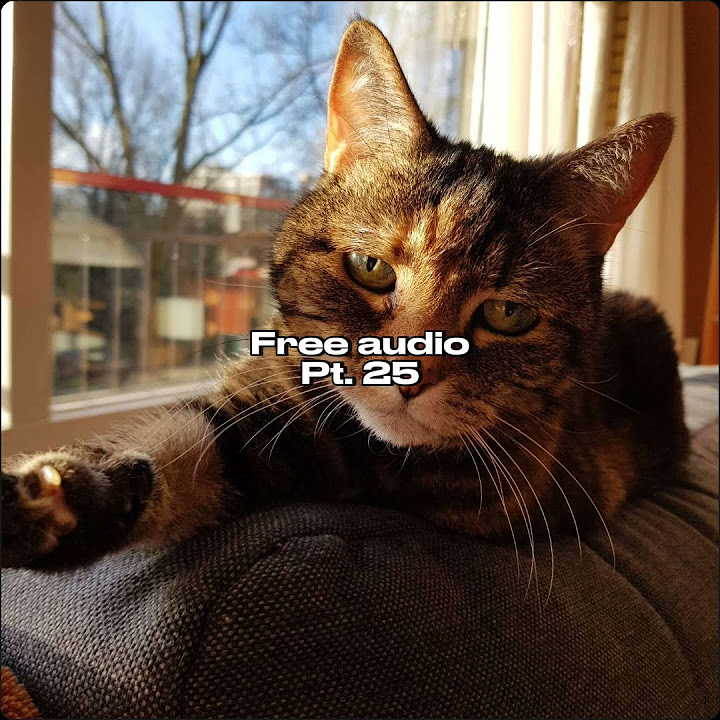 Free Audio Part 25 Likeandsubscribe Youtubeshorts Free Audio Nocap Real Forreal Fyp