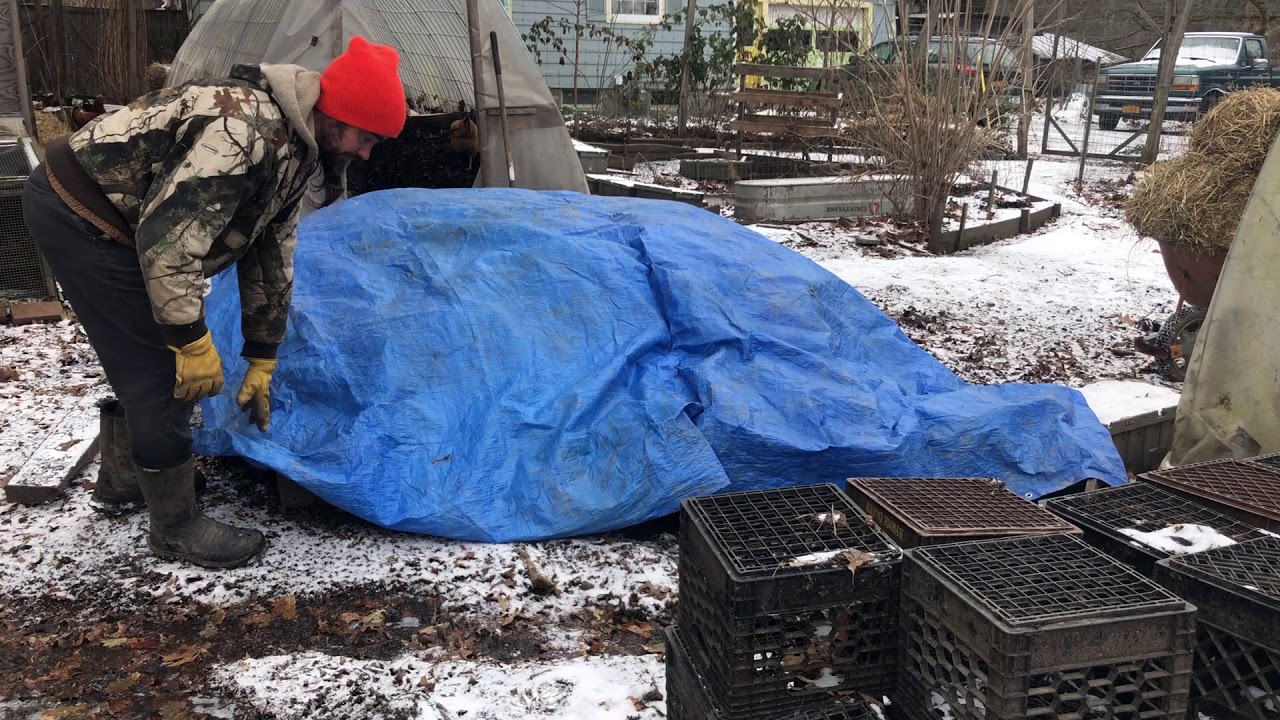 Insulating Compost for Winter - YouTube