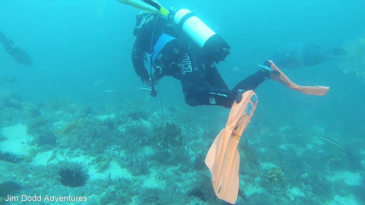 Scuba Riders - Motorcycle ride and a scuba dive at Halifax Nelson Bay ...