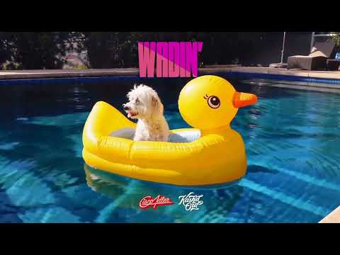 Cisco Adler & Kash'd Out - \