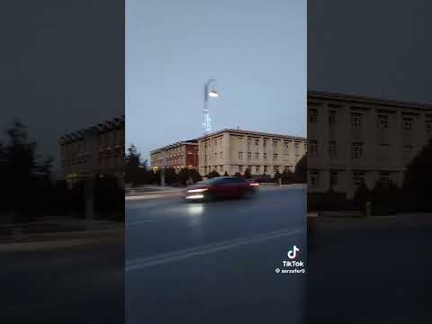 27 марта 2025 г.