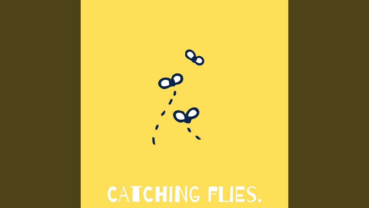 Catching Flies - YouTube