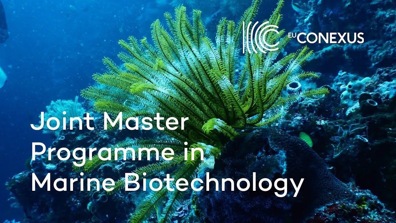 Joint Master Programme in Marine Biotechnology - YouTube