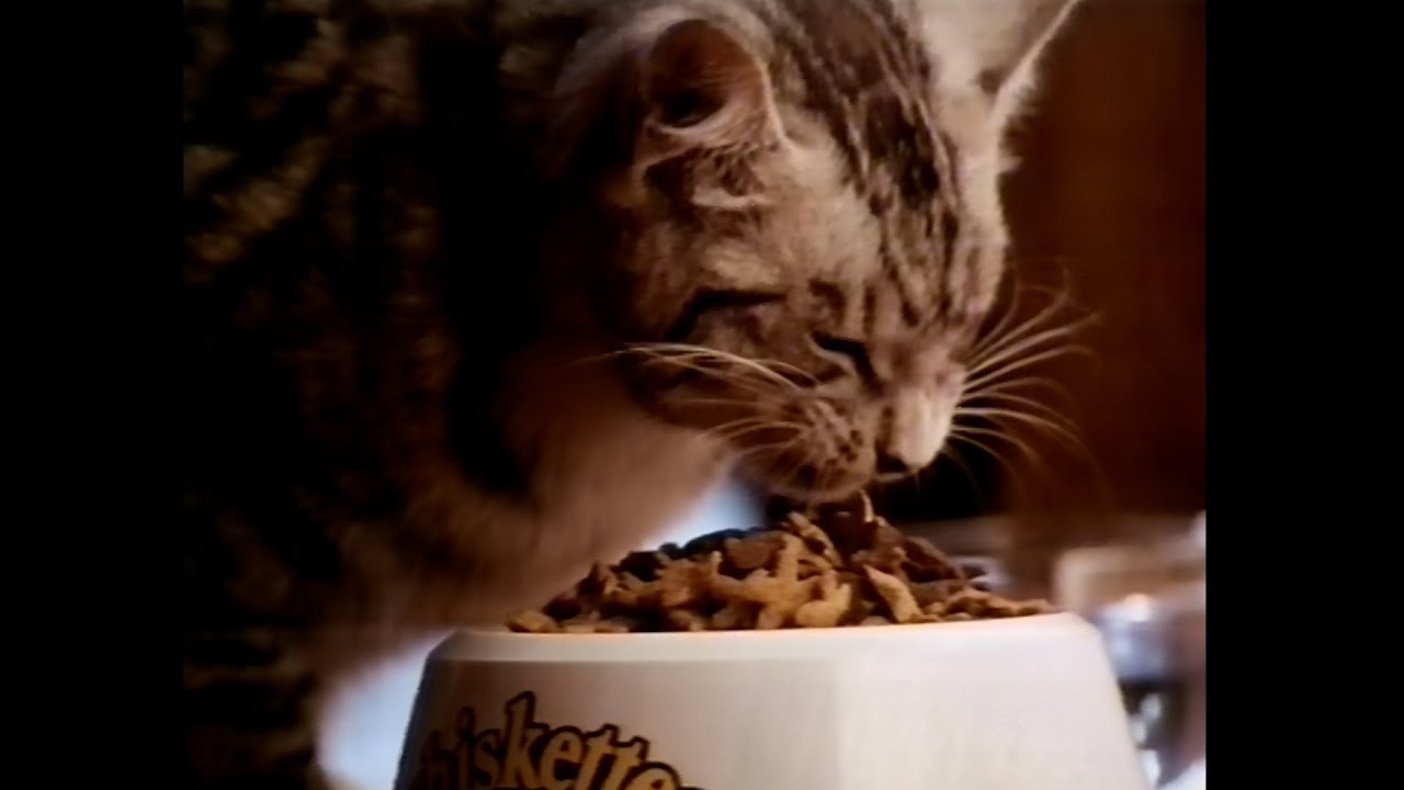Whiskas Whiskettes days are better days - Australian TV AD/Commercial ...