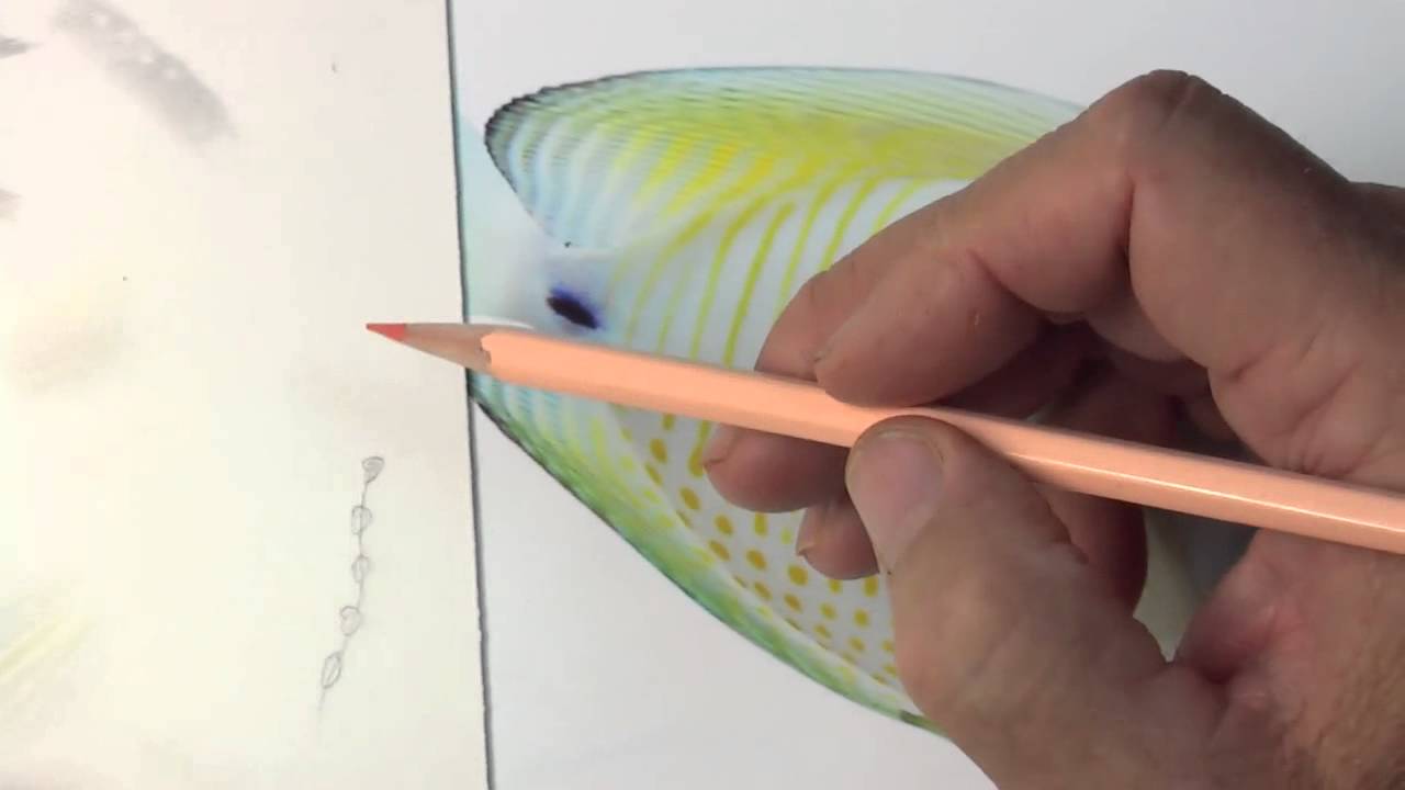 How to Blend Colored Pencils: Experimenting With Alternating Layers of ...